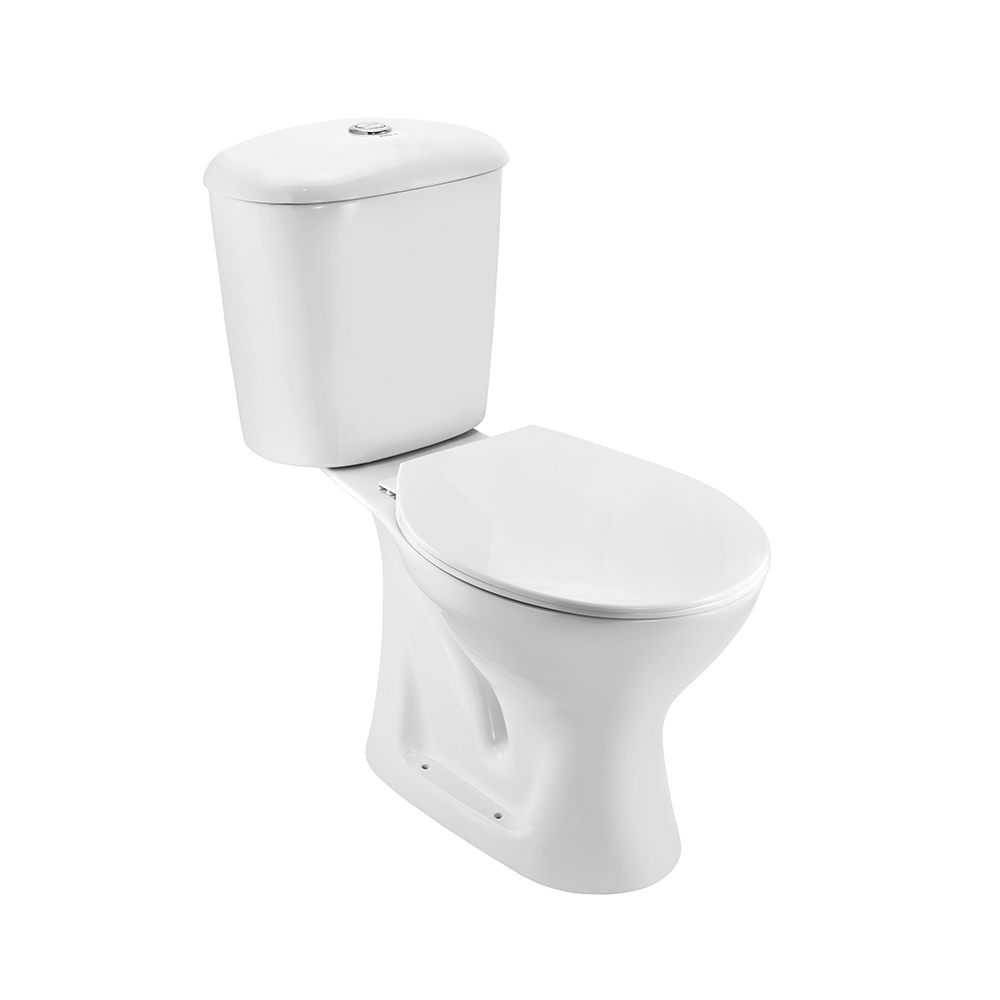 Choose the Right Western Toilet Seat for your Bathroom- Essco